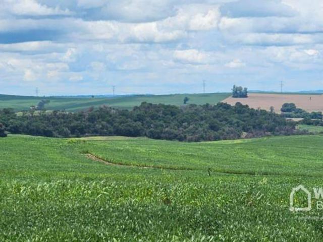 Sítio para venda em Parque Industrial Mário Bulhões, Maringá