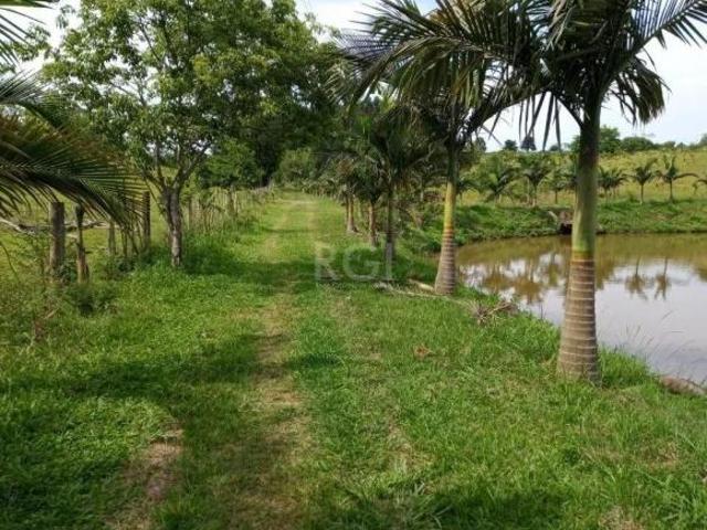 Sítio para venda em Parque Itacolomi, Gravataí