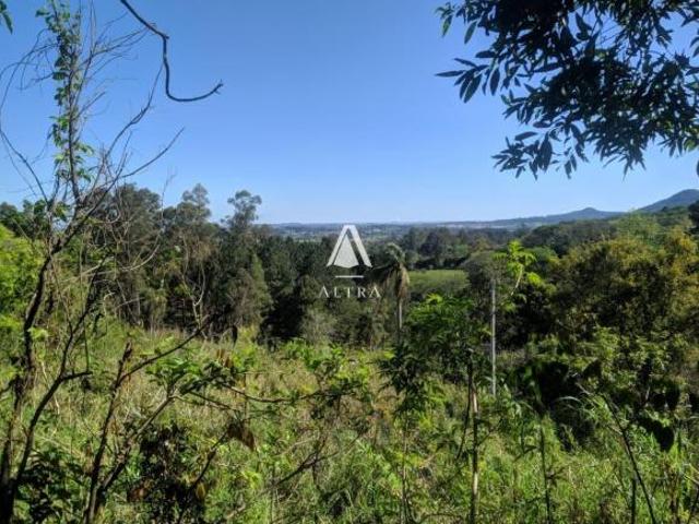 Sítio para venda em Pé de Plátano, Santa Maria