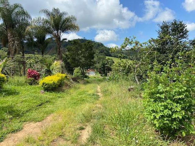 Sítio para venda em Pedra Bela