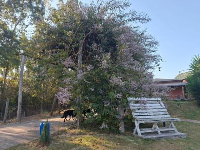 Sítio para Venda em Pedra Bela, ZONA RURAL, 6 dormitórios, 3 suítes, 6 banheiros, 6 vagas