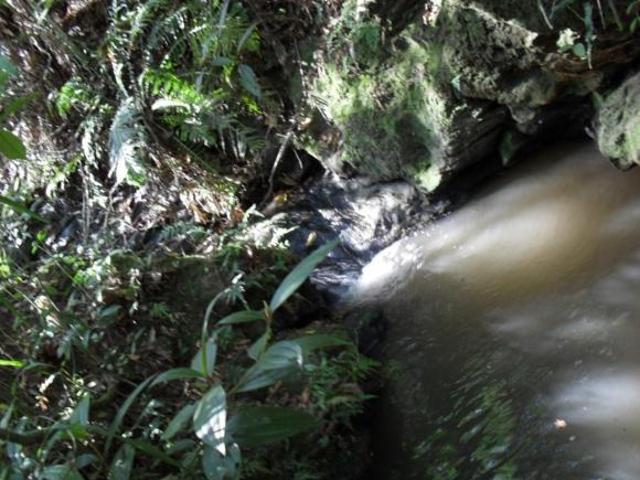 Sítio para venda em Pilar do Sul