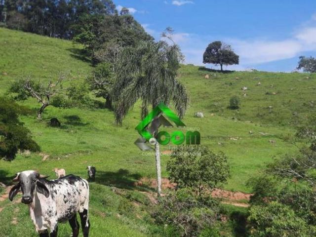 Sítio para venda em Piracaia