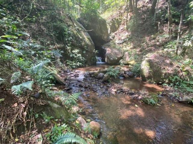 Sítio para venda em Piracaia