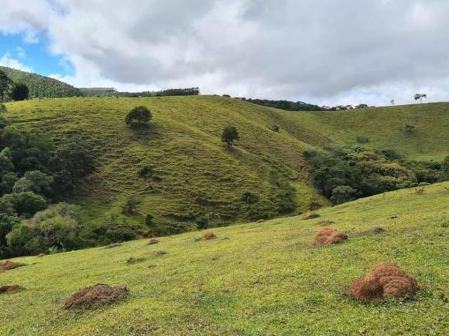Sítio para venda em Piracaia