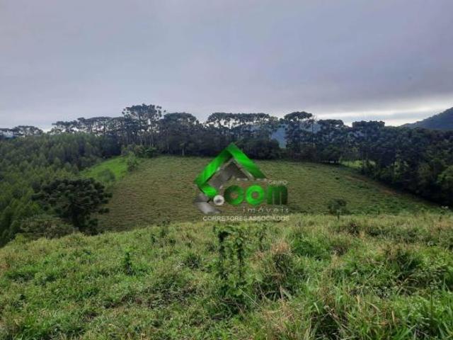 Sítio para venda em Piracaia