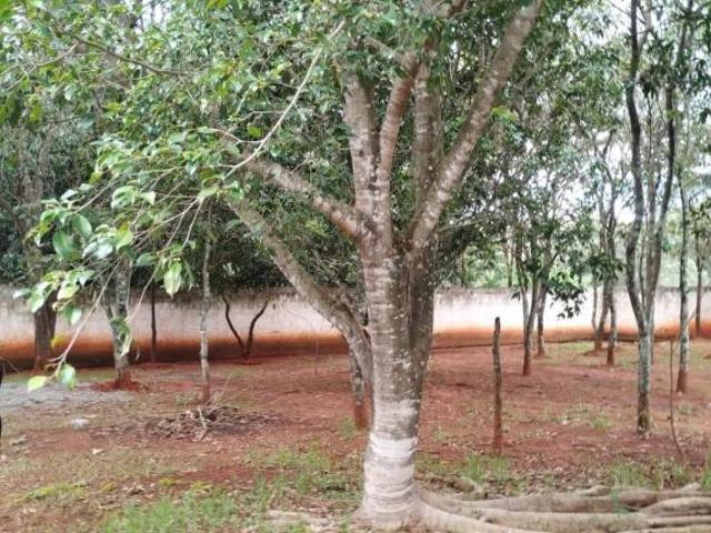 Sítio para venda em Planaltina