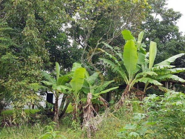 Sítio para venda em Pompéia, Piracicaba