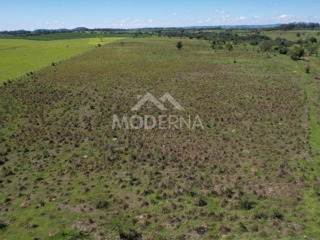 Sítio para Venda em Porangaba, Area Rural