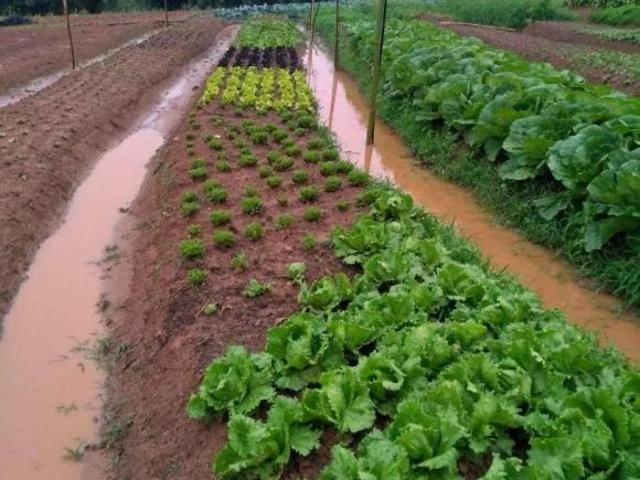 Sítio para venda em Pratápolis