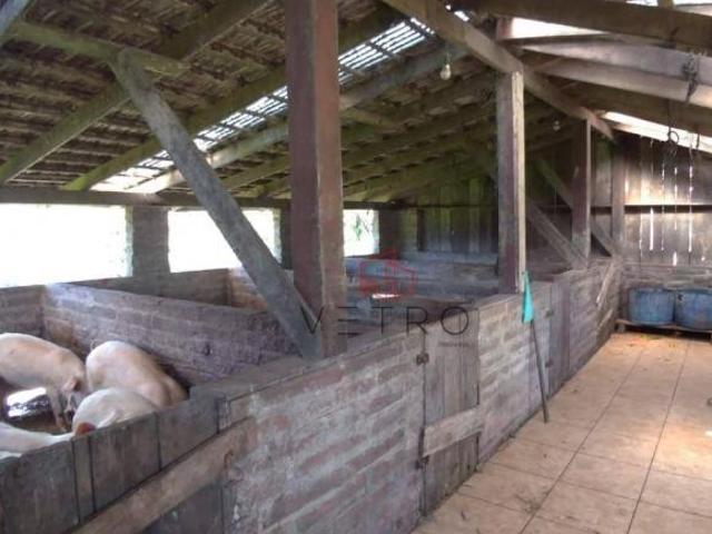 Sítio para venda em Rancho Jane, Canela