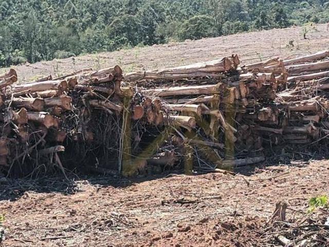 Sítio para venda em Residencial Santa Maria Amparo, Amparo