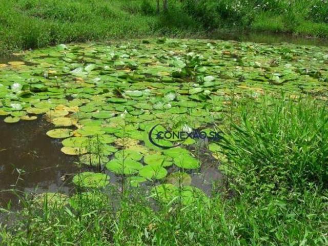 Sítio para venda em Ribeirão Grande, Pindamonhangaba