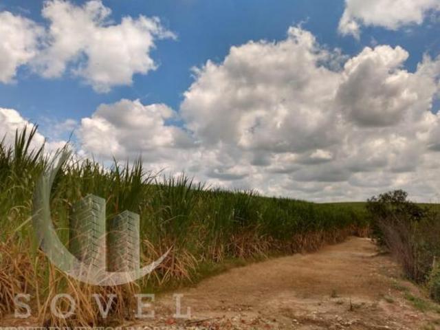 Sítio para Venda em Rio Claro, zona rural, 2 dormitórios