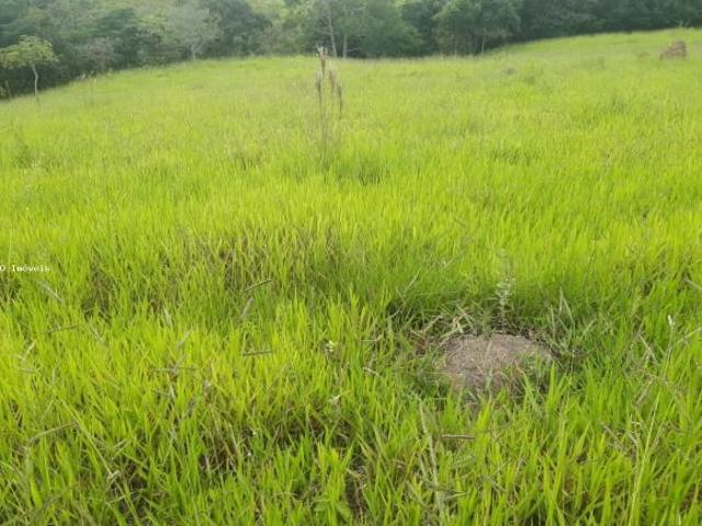 Sítio para venda em Ritápolis