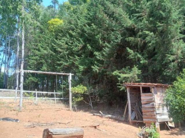 Sítio para venda em Ritápolis