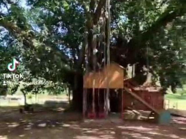 Sítio para venda em São Benedito da Capelinha Zona Rural