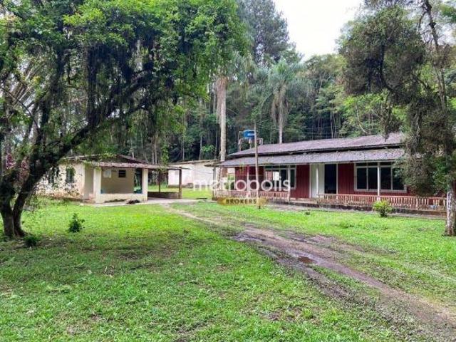 Sítio para venda em São Bernardo do Campo