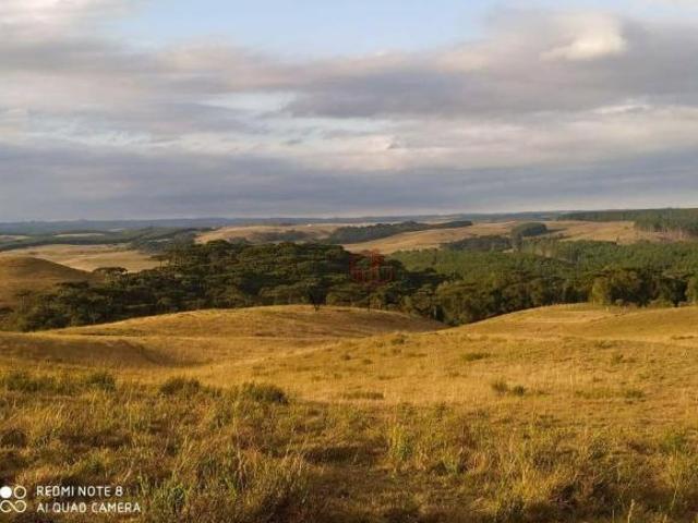 Sítio para venda em São Francisco de Paula