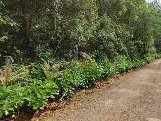 Sítio para venda em São Francisco de Paula