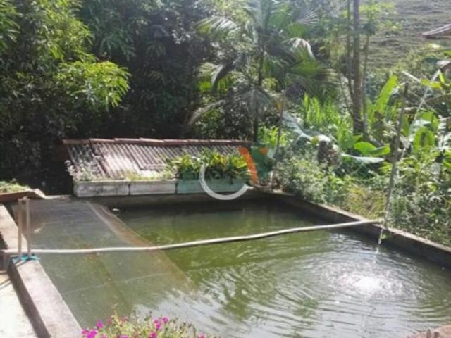 Sítio para venda em São Francisco Xavier, São José dos Campo