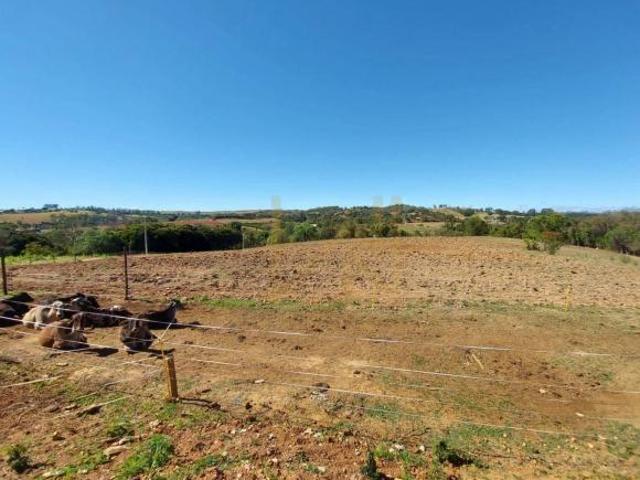 Sítio para venda em São Judas Tadeu, Santo Antônio de Posse