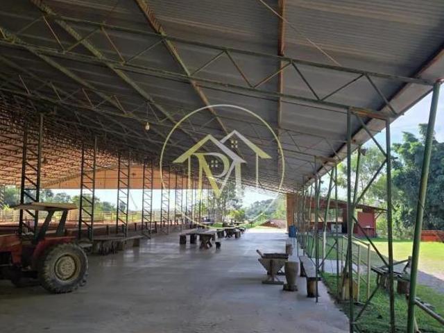 Sítio para venda em São Roque