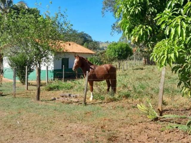 Sítio para Venda em São Sebastião do Paraíso, RURAL