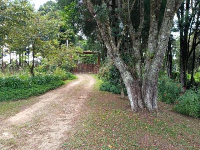 Sítio para venda em Saltinho, Ibiúna