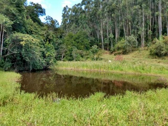 Sítio para Venda em Santa Branca, DO JACARE