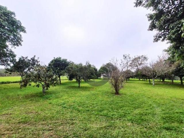 Sítio para venda em Santa Cruz do Sul