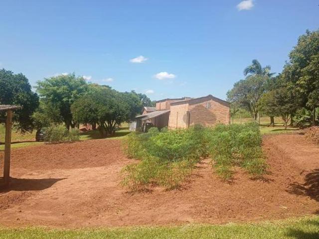 Sítio para venda em Santa Cruz do Sul