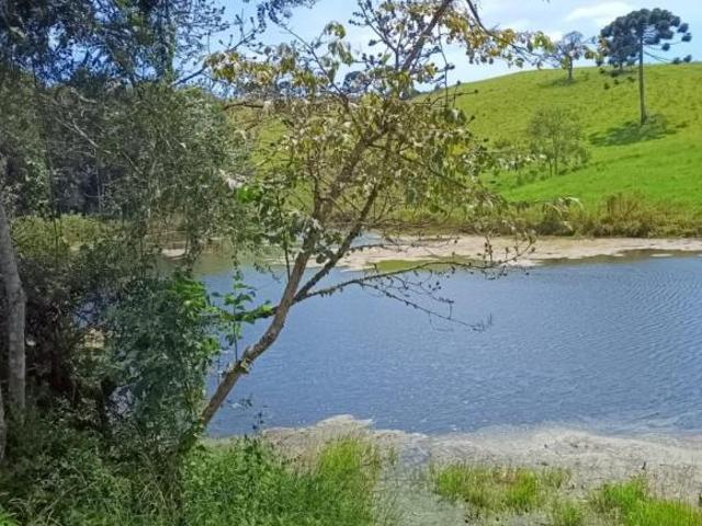 Sítio para Venda em Santa Rita de Caldas, RURAL