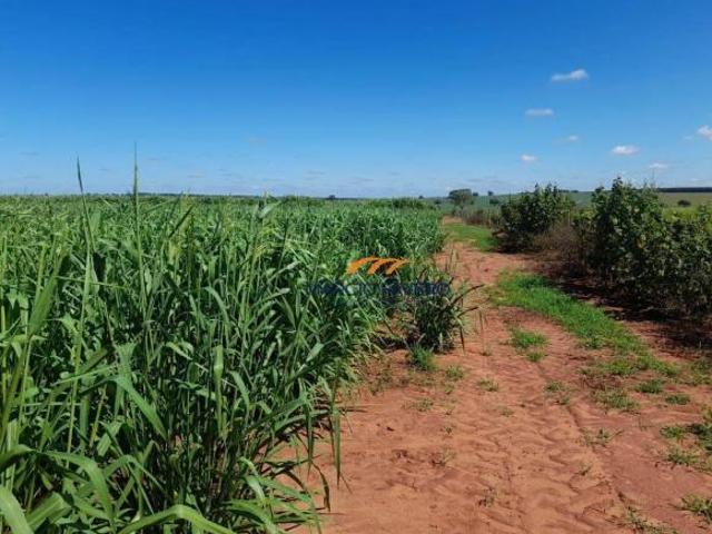 Sítio para venda em Santo Antônio do Aracanguá