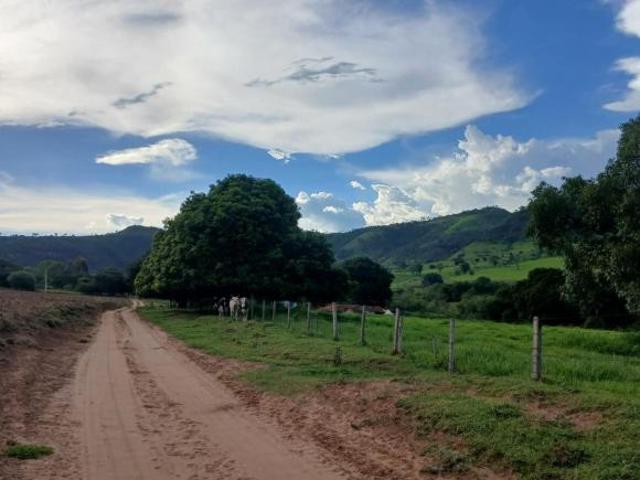 Sítio para Venda em Santo Antônio da Alegria, RURAL
