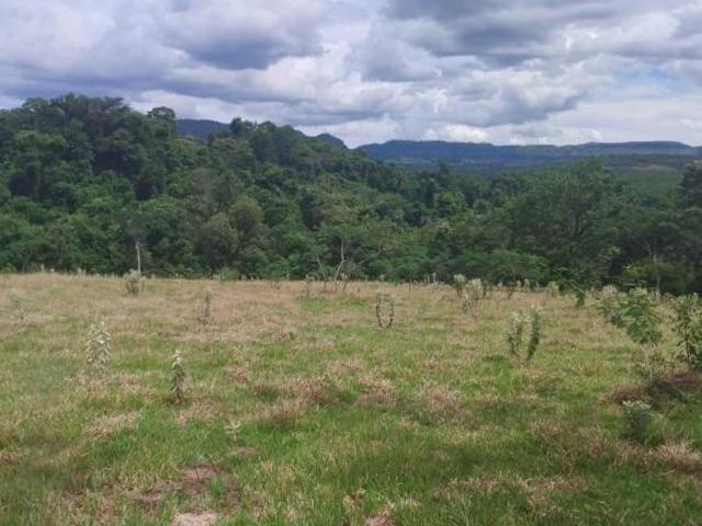 Sítio para Venda em Santo Antônio da Alegria, RURAL