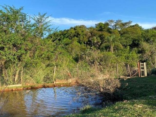 Sítio para Venda em Santo Antônio da Alegria, RURAL