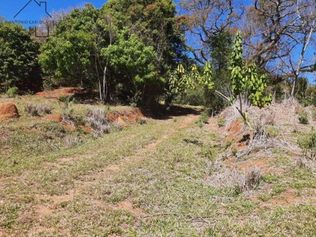 Sítio para venda em Serrinha, Bragança Paulista