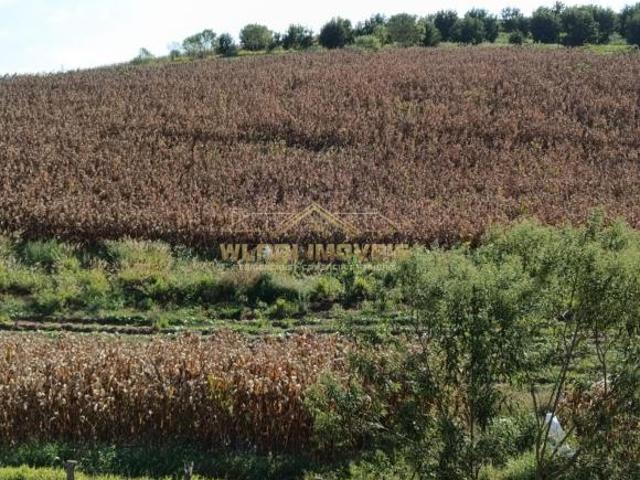 Sítio para Venda em Socorro, 7 km da cidade