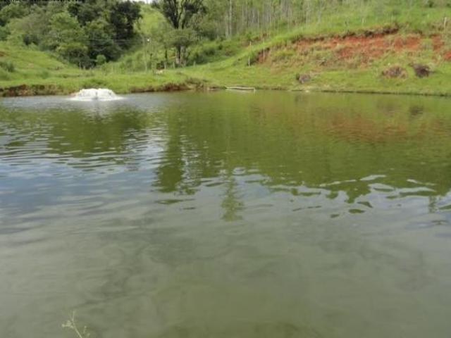 Sítio para Venda em Socorro, Zona Rural, 4 dormitórios, 3 banheiros, 3 vagas