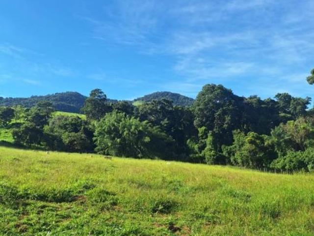 Sítio para Venda em Socorro, ZONA RURAL, 3 dormitórios, 3 banheiros, 6 vagas