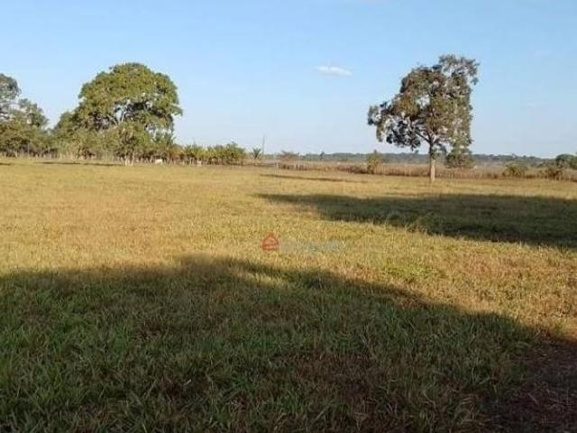 Sítio para venda em Sorriso