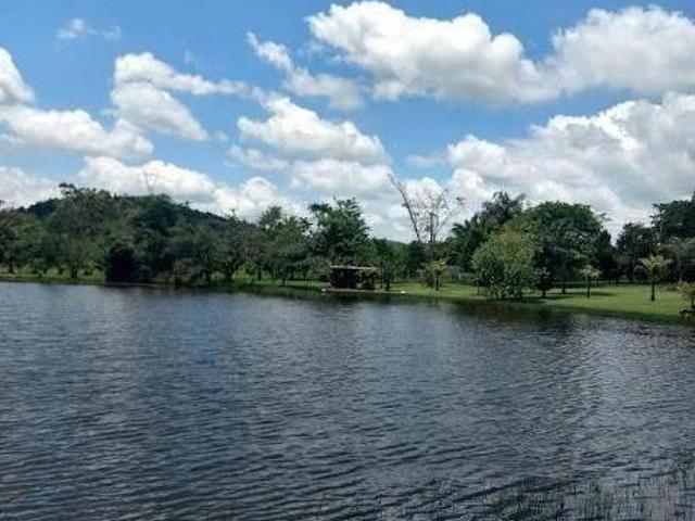 Sítio para venda em Sousas, Campinas