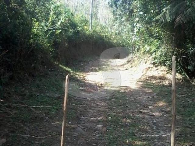 Sítio para venda em Taiaçupeba, Mogi das Cruzes