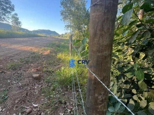 Sítio para venda em Tamarana
