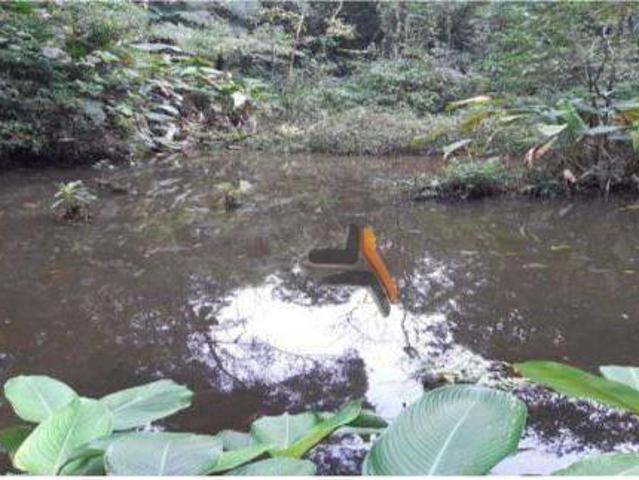 Sítio para venda em Tapiraí