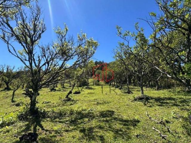 Sítio para venda em Taquara