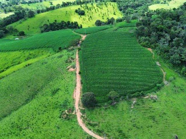 Sítio para Venda em Toledo, ZONA RURAL