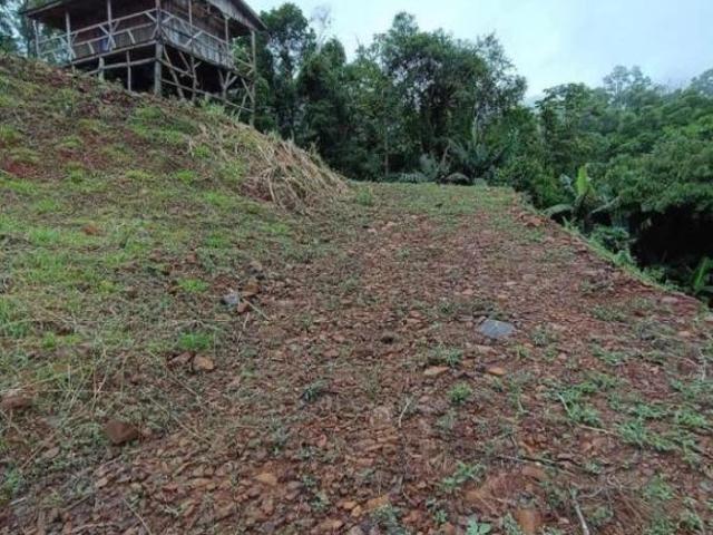 Sítio para venda em Três Coroas