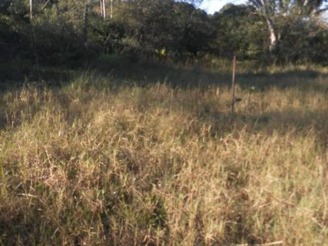 Sítio para venda em Viamão